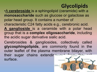 glycolipid class.pdf