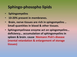glycolipid class.pdf