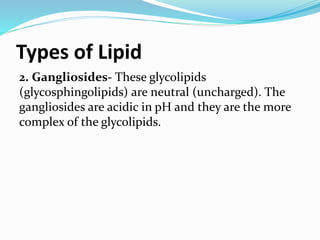 Glycolipid ppt | PPTX | Chemistry | Science