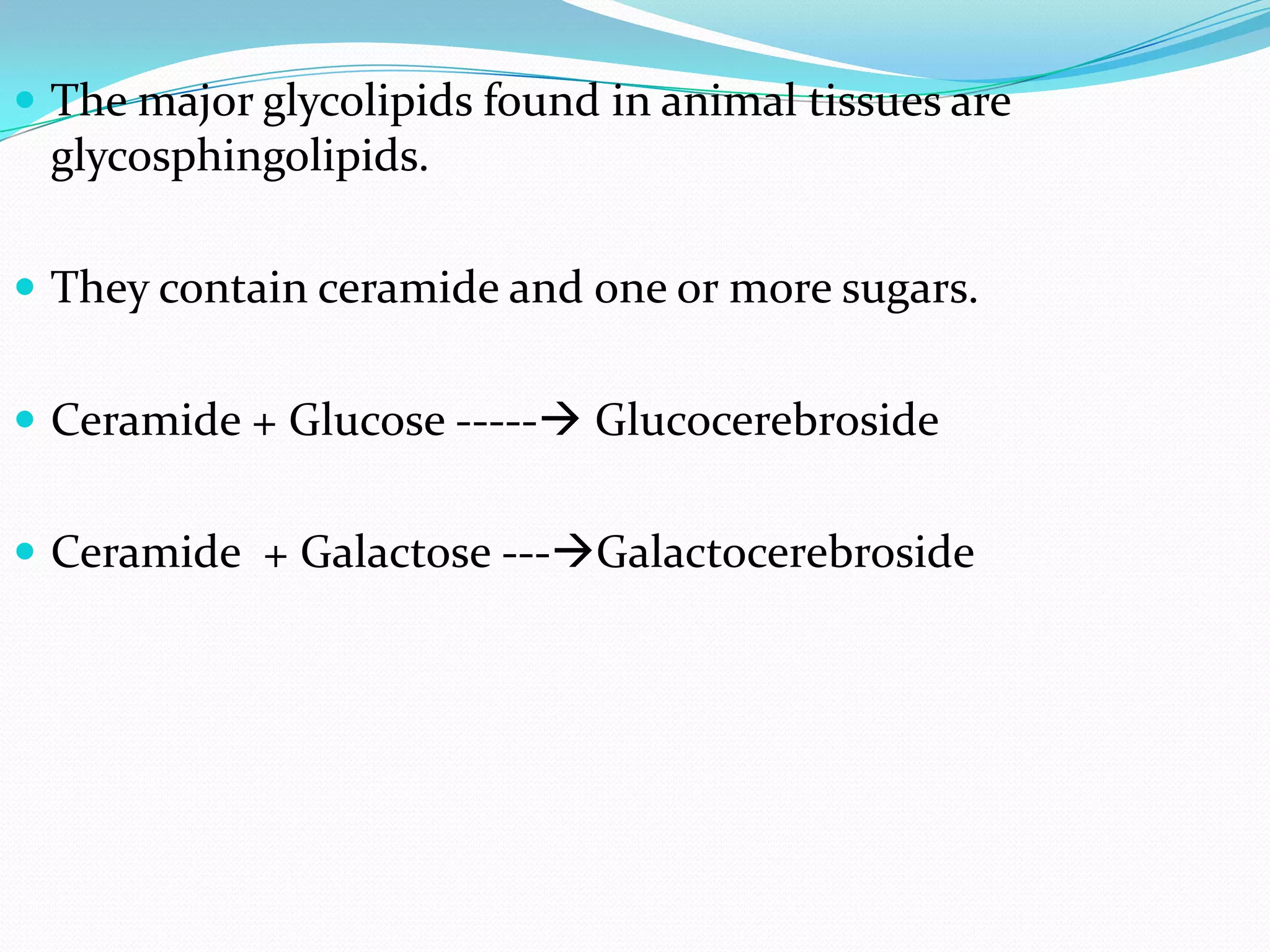Glycolipids | PPT
