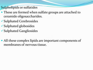 Glycolipids | PPT