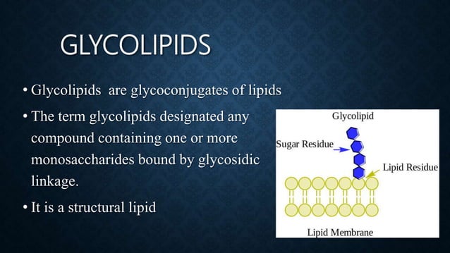 Glycolipids | PPTX