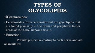 Glycolipids | PPTX