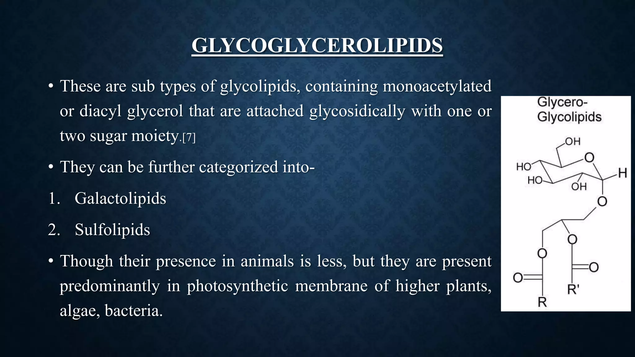 Glycolipids | PPTX