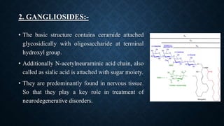 Glycolipids | PPTX