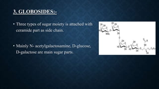 Glycolipids | PPTX