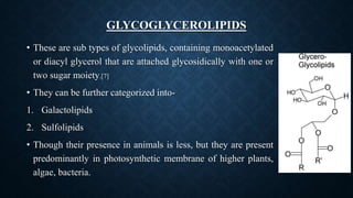 Glycolipids | PPTX