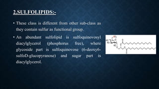 Glycolipids | PPTX