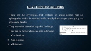 Glycolipids | PPTX