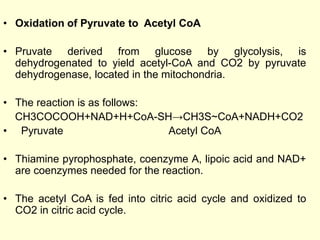 Glycolysis-1.ppt | Endocrine and Metabolic Diseases | Diseases and ...