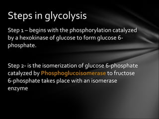 Glycolysis | PPT