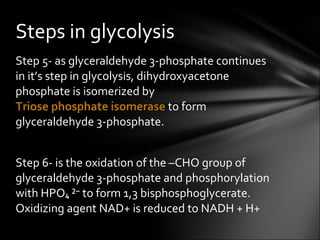 Glycolysis | PPT