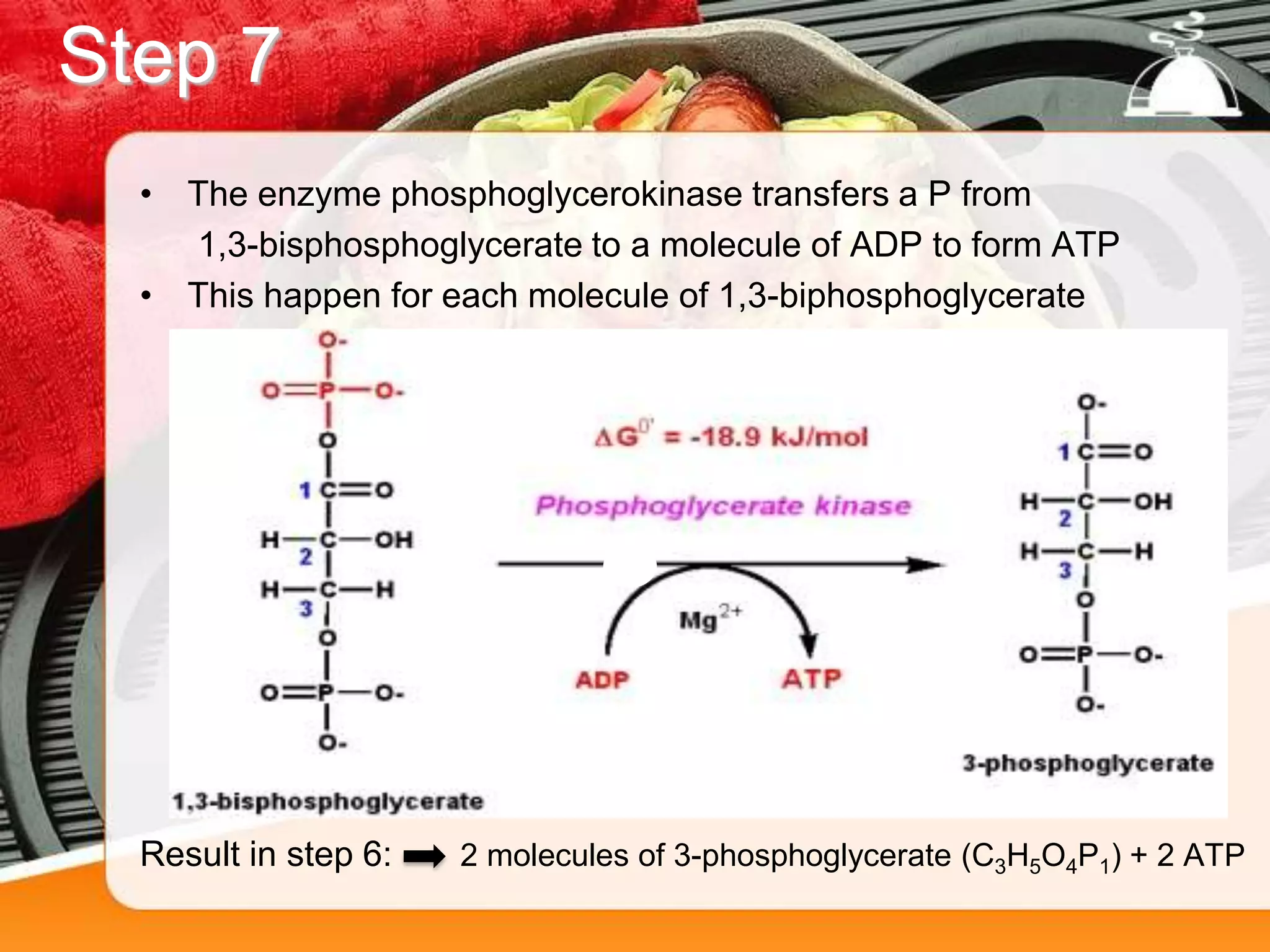 Glycolysis (10 Steps) By: Asar Khan | PPTX