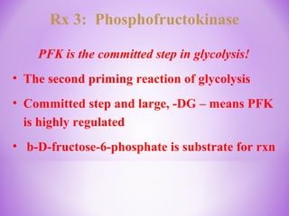 Glycolysis | PPT
