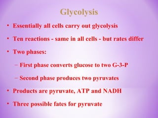 Glycolysis | PPT