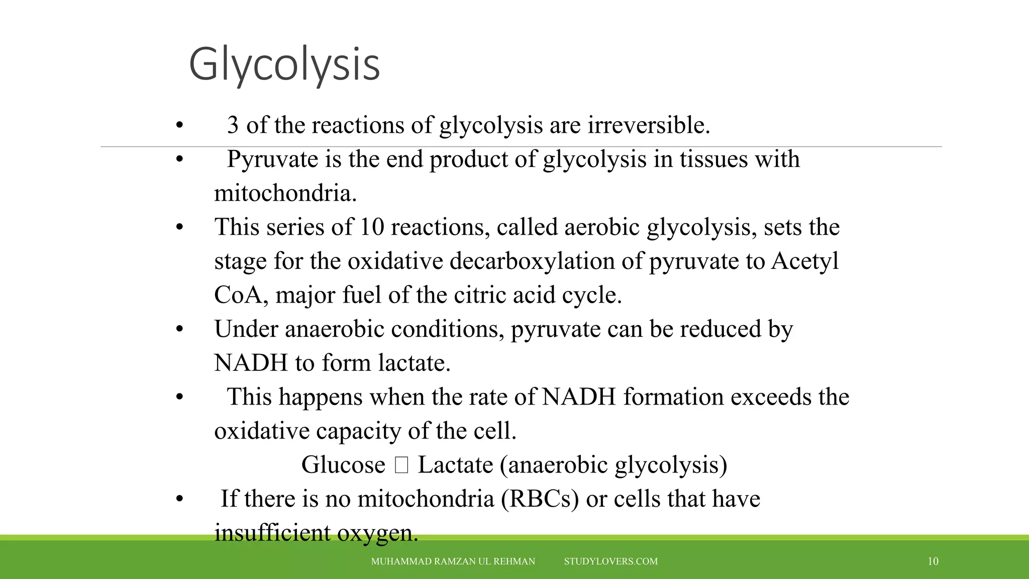 Glycolysis | PPTX