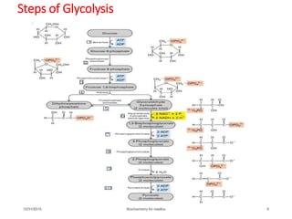 Simple Glycolysis Flow Chart