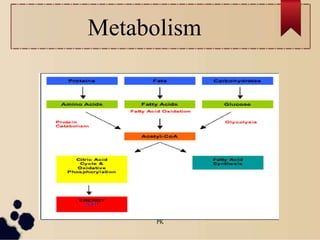 Glycolysis | PPT