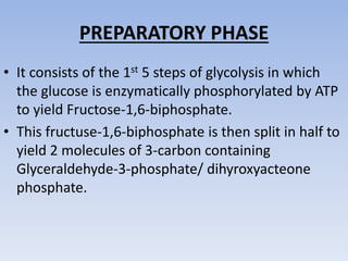 Glycolysis | PPTX