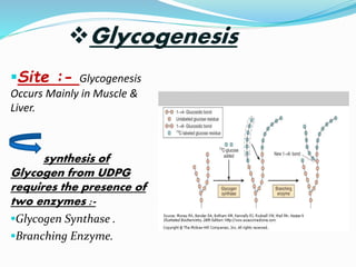 Glycolysis | PPTX