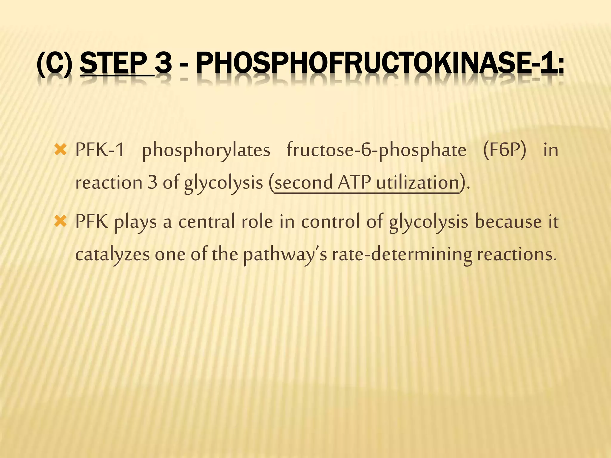 Glycolysis | PPTX | Chemistry | Science