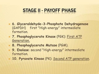 Glycolysis | PPTX
