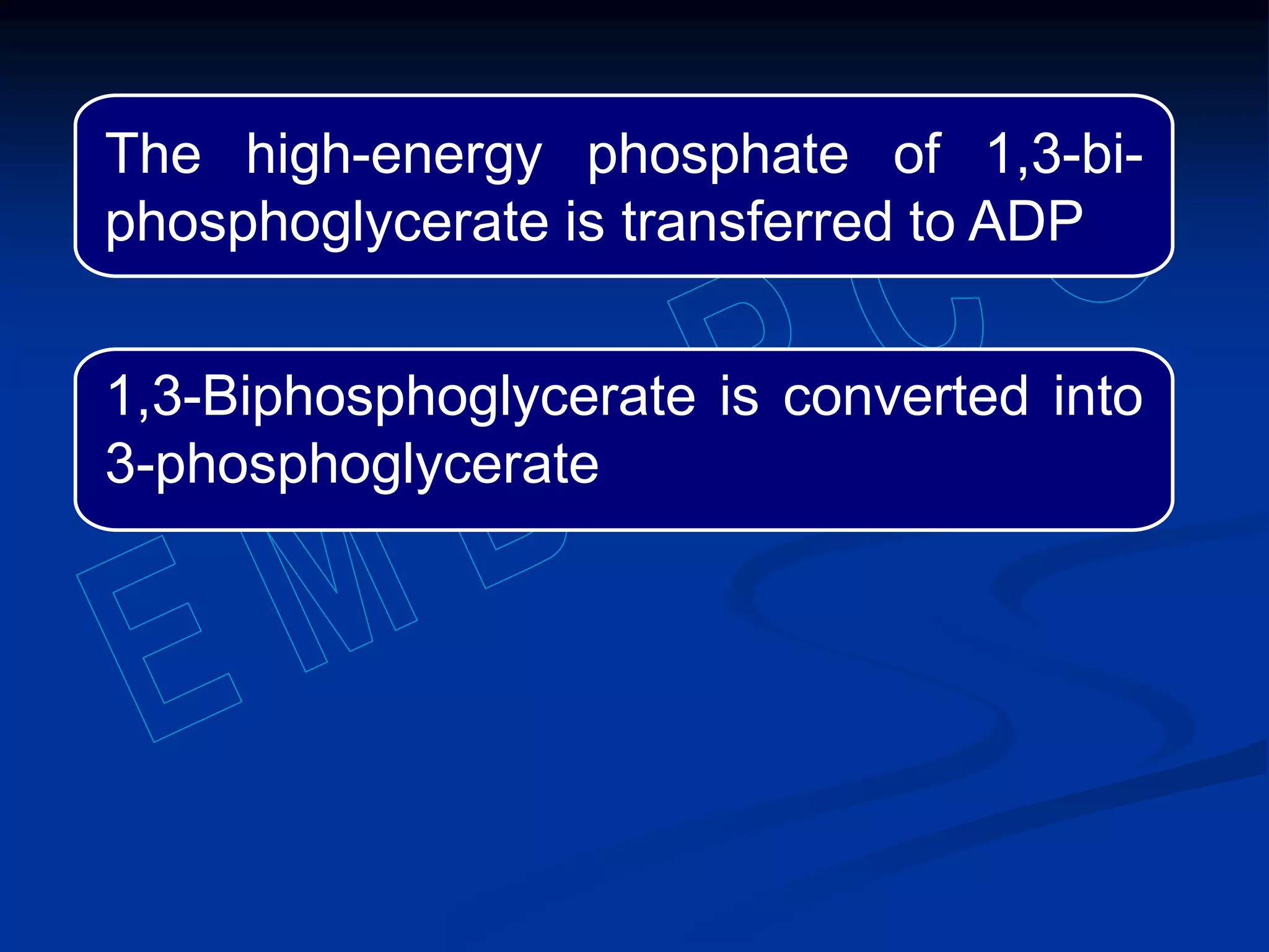 Glycolysis | PPTX