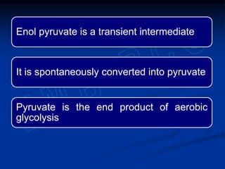 Glycolysis | PPTX