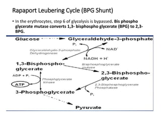 Glycolysis.pptx