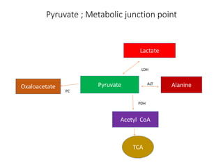 Glycolysis.pptx