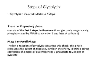 Glycolysis.pptx