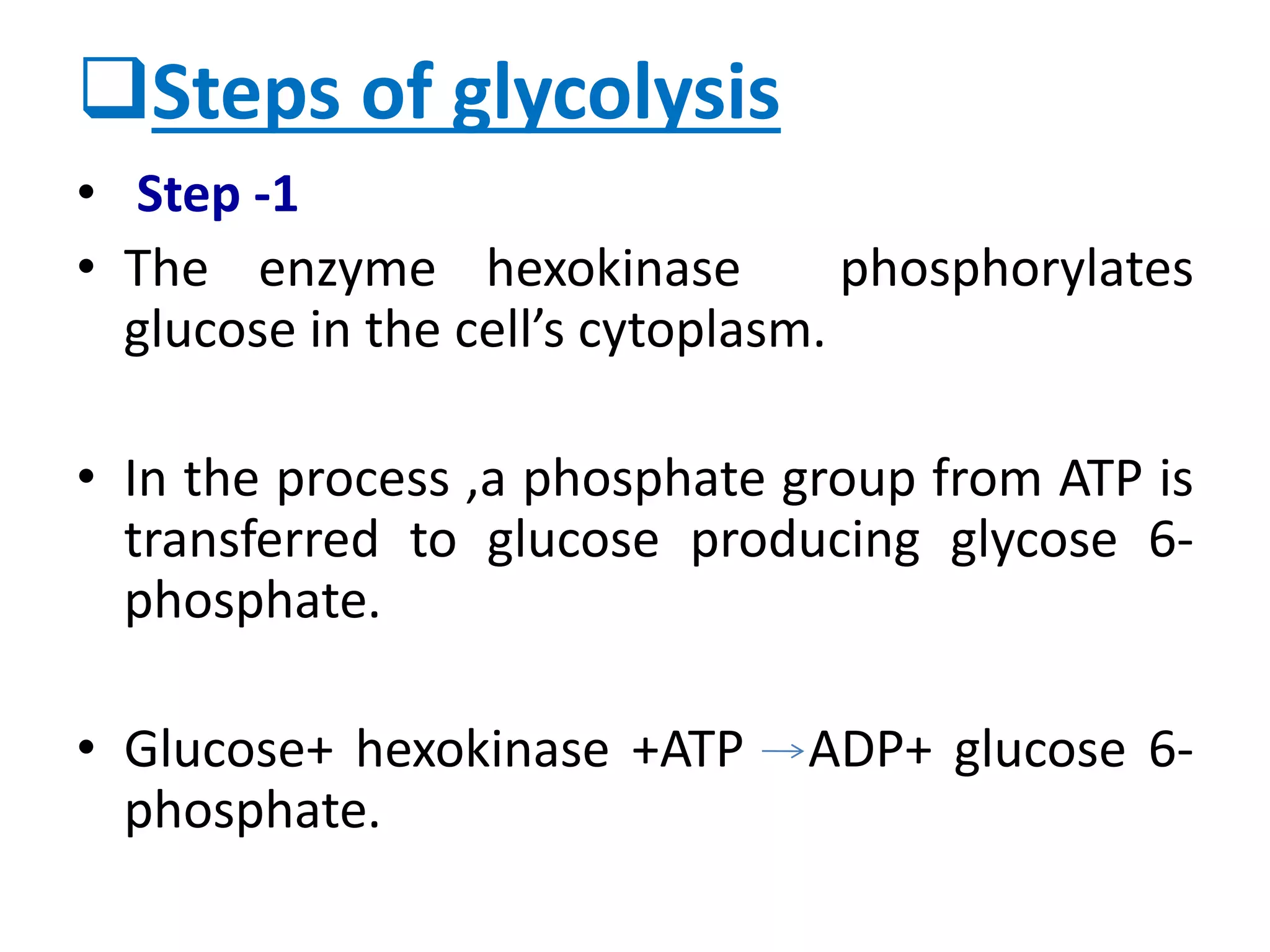 Glycolysis | PPTX