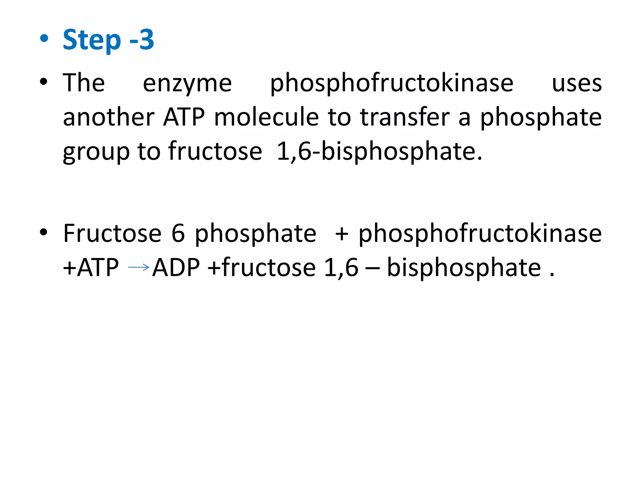 Glycolysis | PPTX