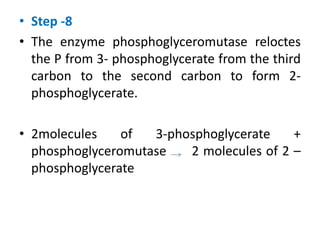 Glycolysis | PPTX