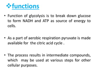 Glycolysis | PPTX