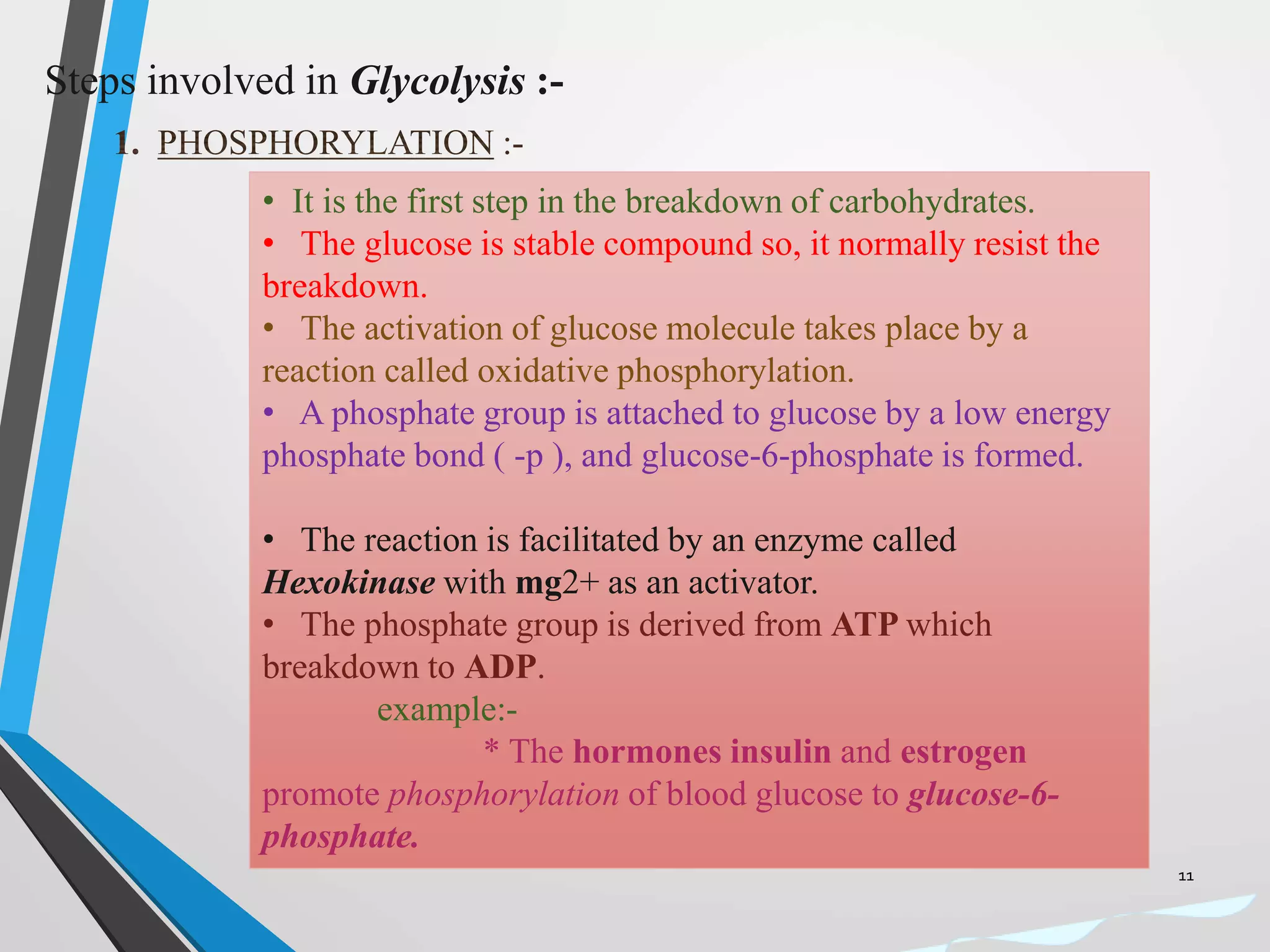Glycolysis | PPTX