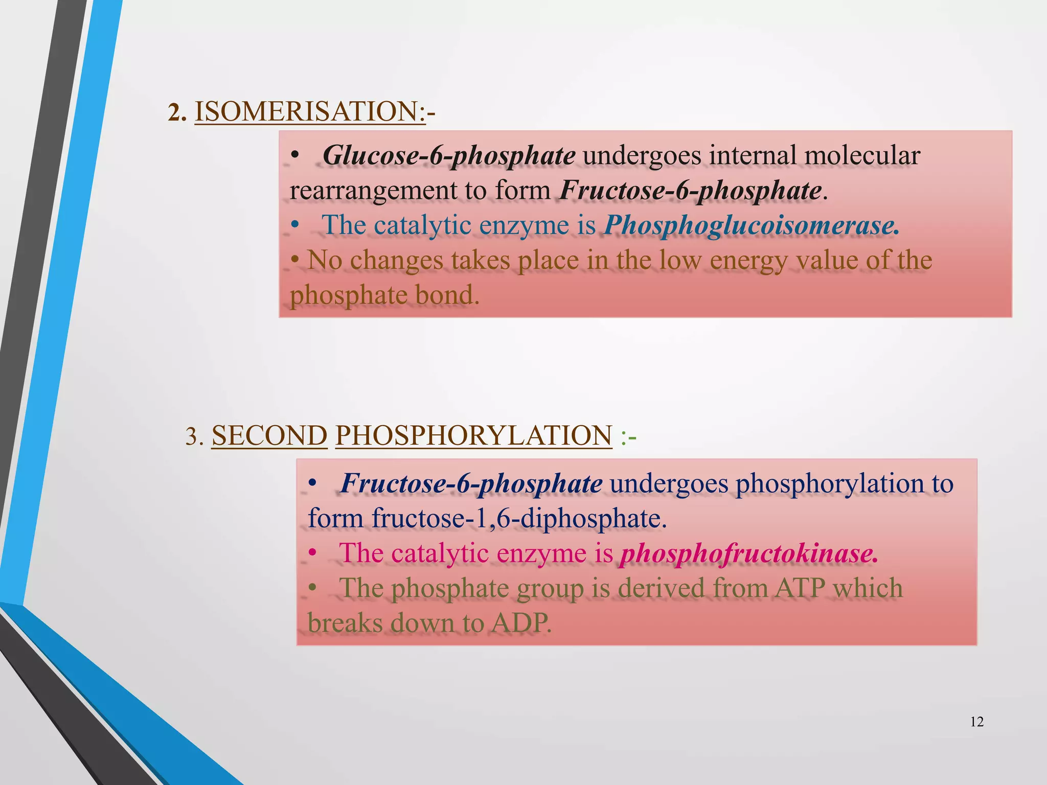 Glycolysis | PPTX