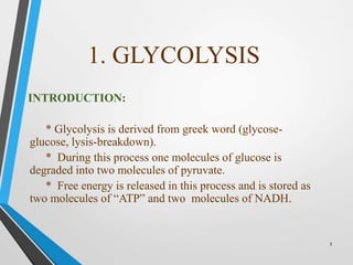 Glycolysis | PPTX
