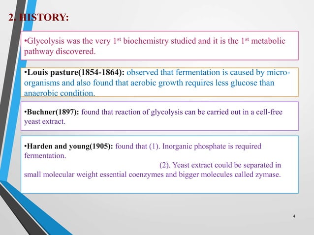 Glycolysis | PPTX | Chemistry | Science
