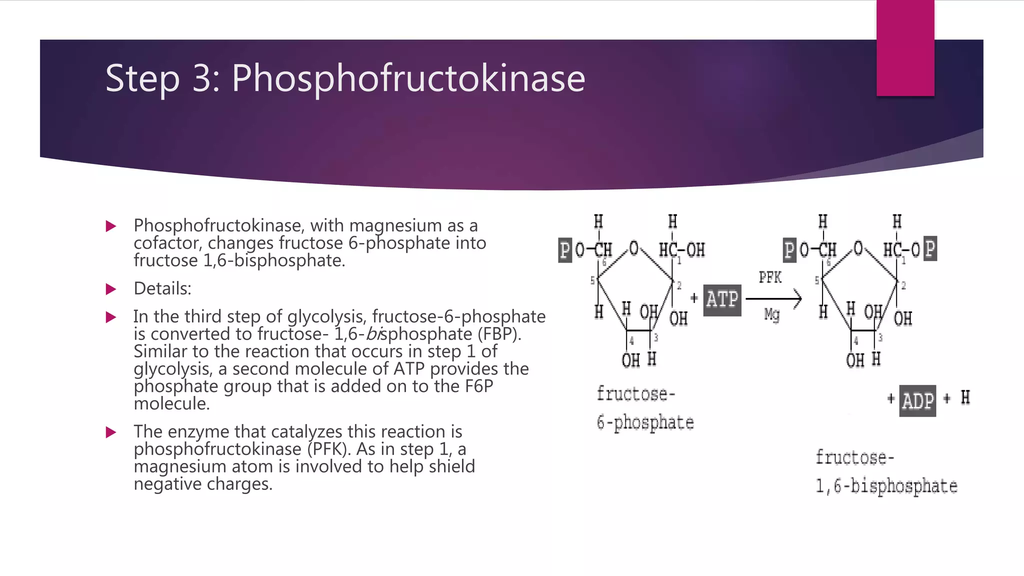 Glycolysis | PPTX