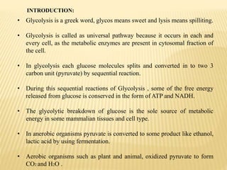 Glycolysis | PPTX