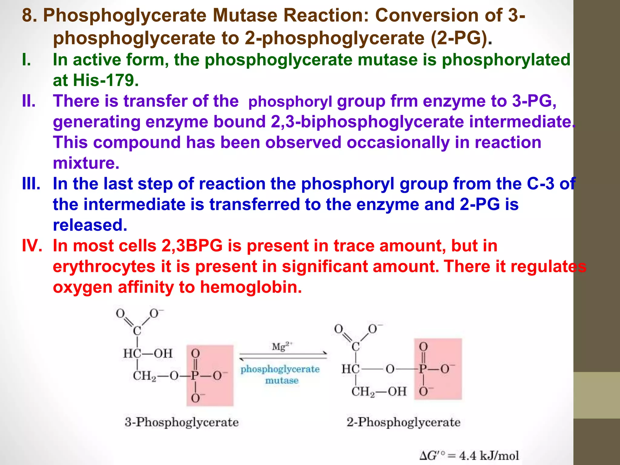 Glycolysis | PPT