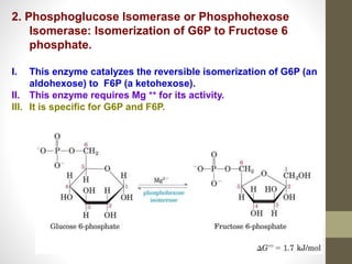 Glycolysis | PPT