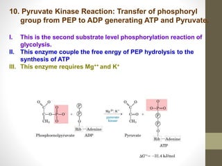 Glycolysis | PPT