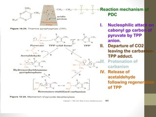 Glycolysis | PPT