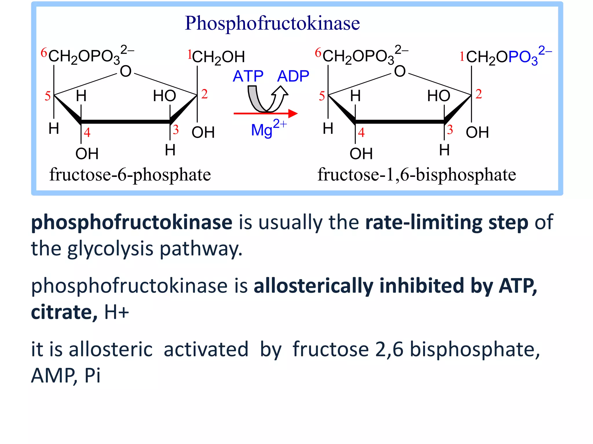 Glycolysis | PPTX