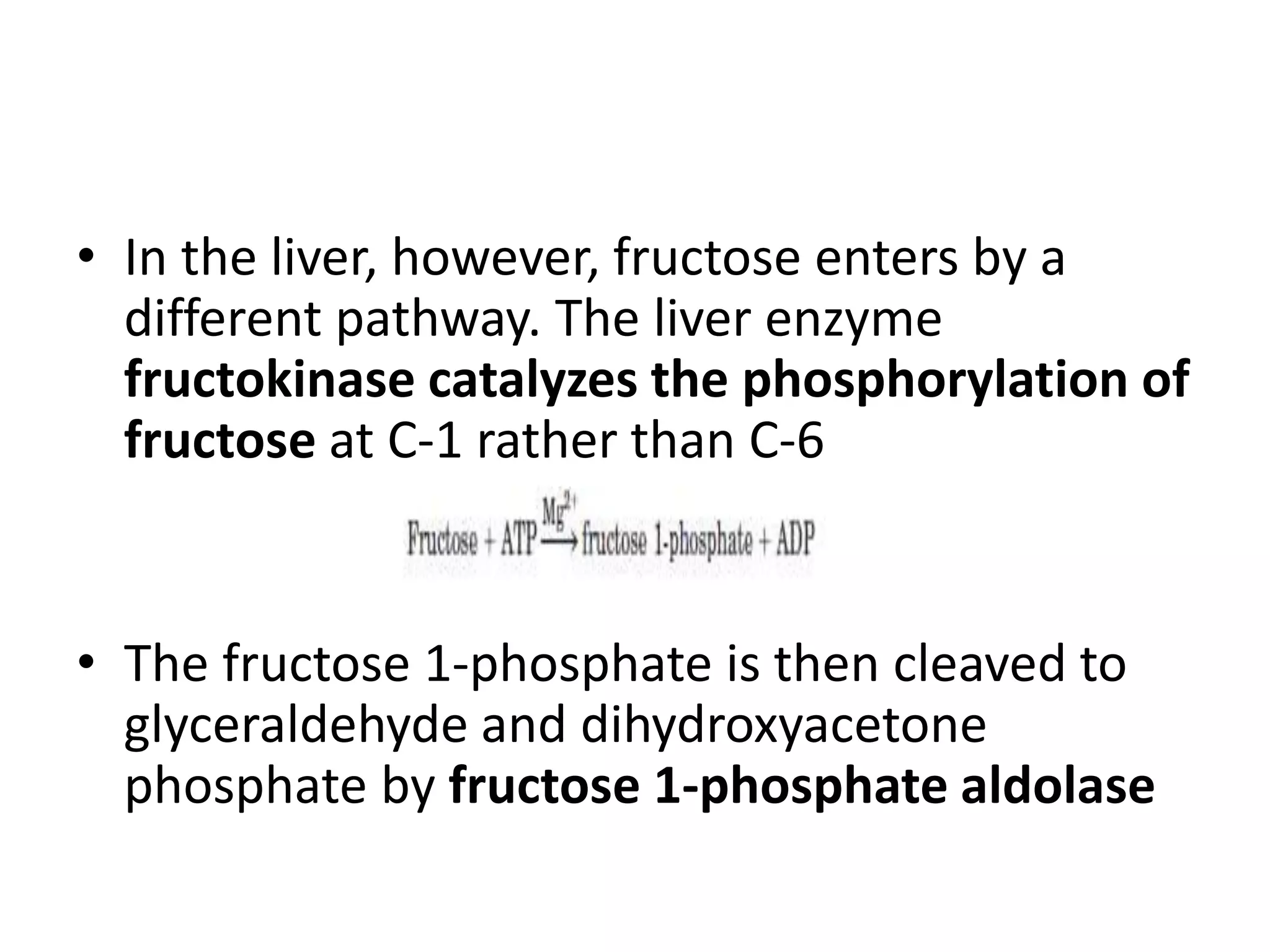 Glycolysis | PPTX