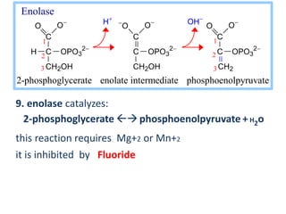 Glycolysis | PPTX