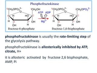 Glycolysis | PPTX