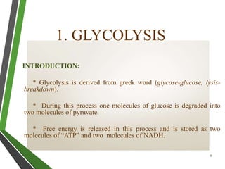 Glycolysis | PPTX | Chemistry | Science